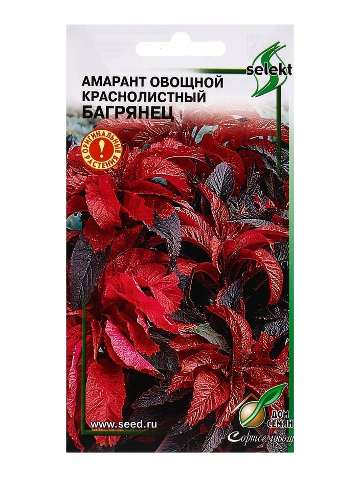 Семена Амарант овощной «Багрянец», краснолистный, 100 шт, «Дом семян»