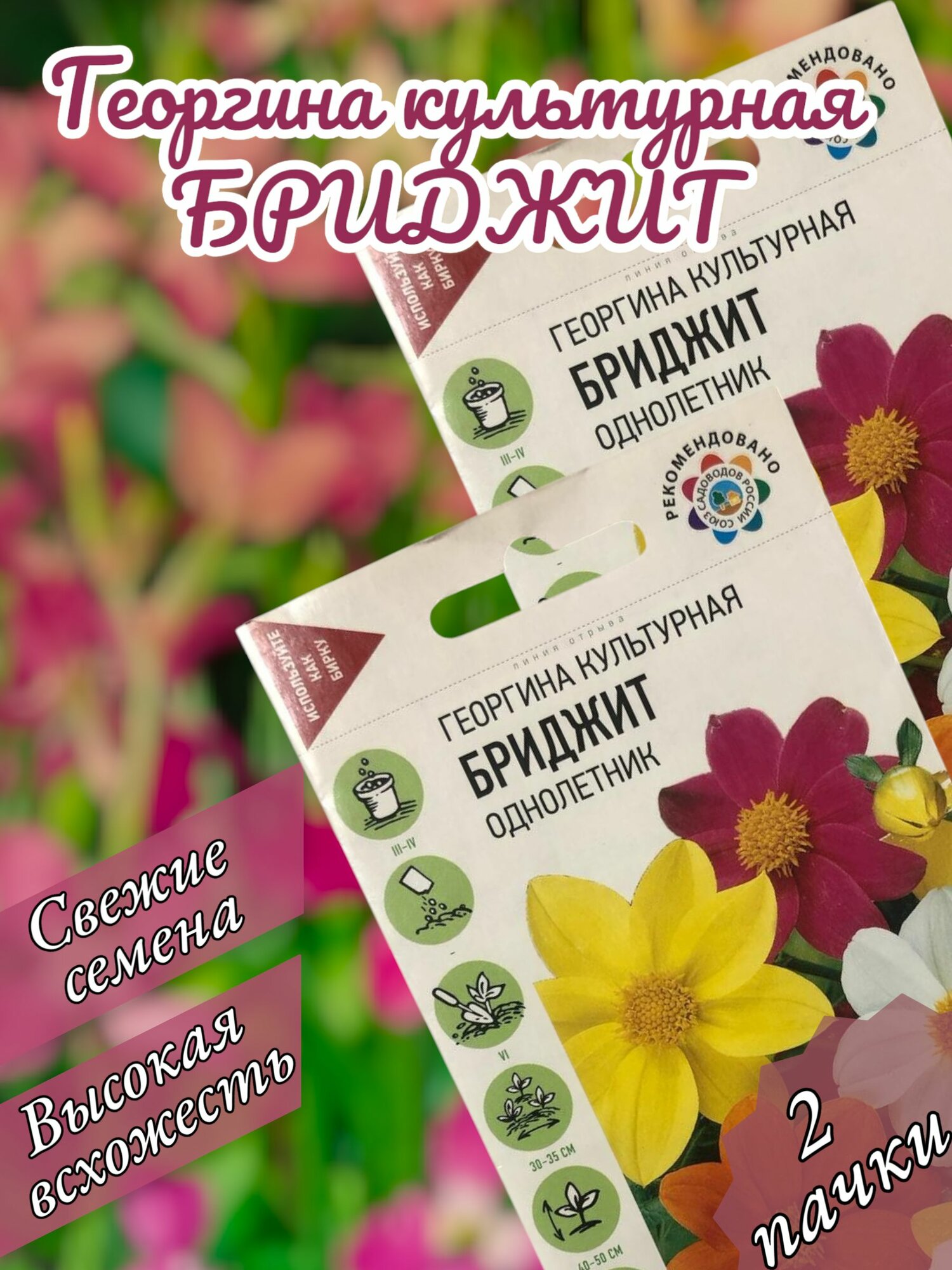 Георгина Бриджит смесь цв. п 0,3г (комплект из 2 пачек) Гавриш
