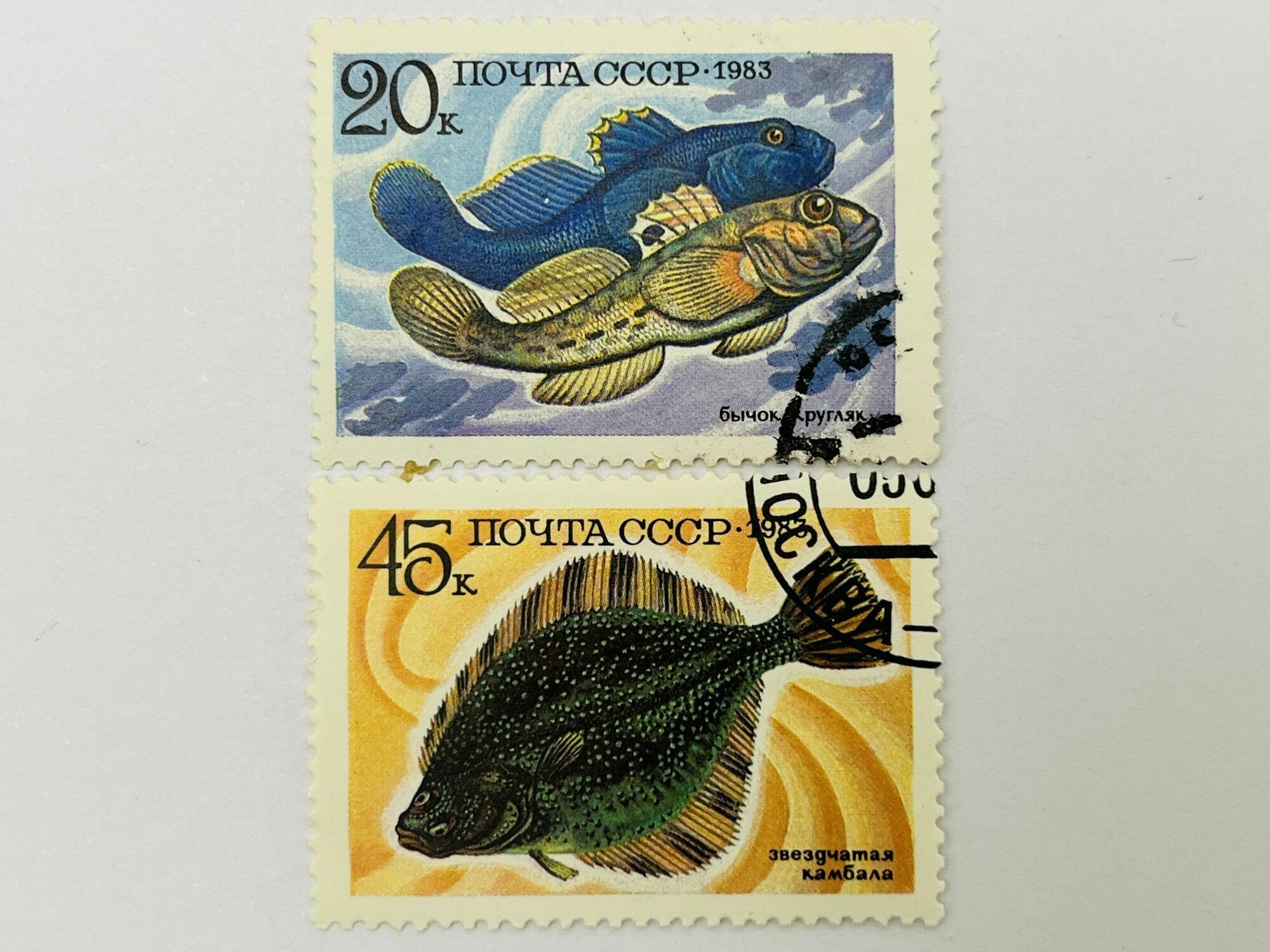 Промысловые рыбы: Бычок-кругляк. Звездчатая камбала. Неполная серия. Фауна. СССР. 1983. Загорский: 5349-5350. Гашен