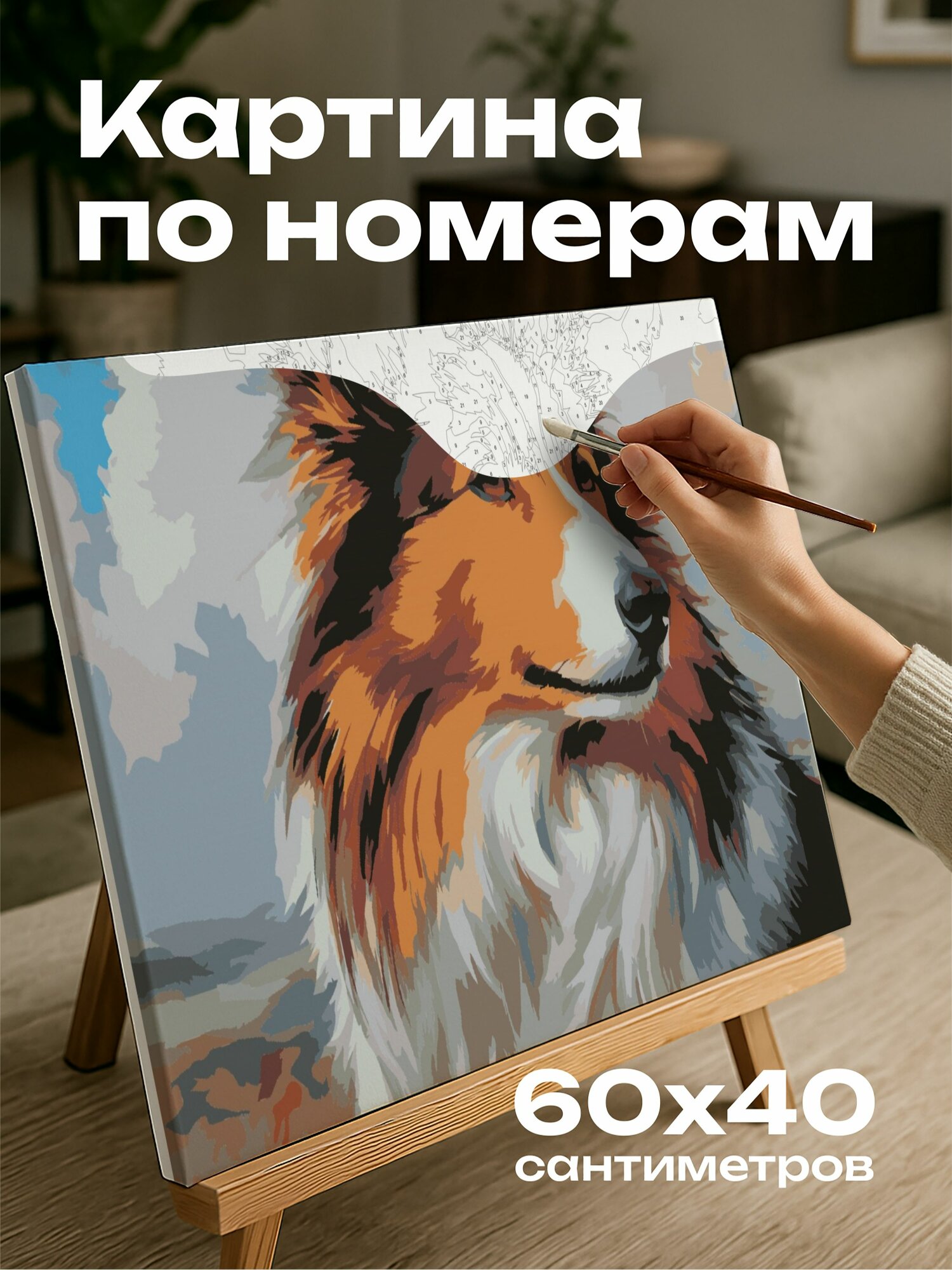 Картина по номерам 60x40 см, Колли, масляная картина, грация, элегантность, текстура меха, выразительные глаза, холмы