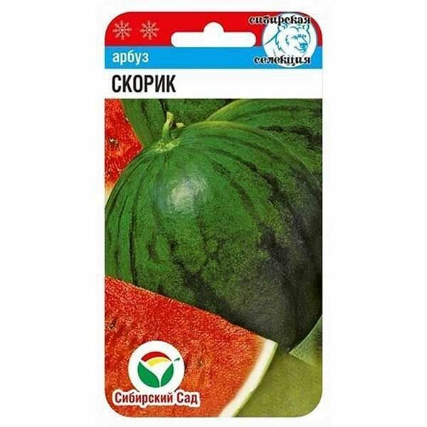Семена арбуз Скорик - раннеспелый , сладкий , дружное созревание, 3-6 кг. Сибирский Сад.