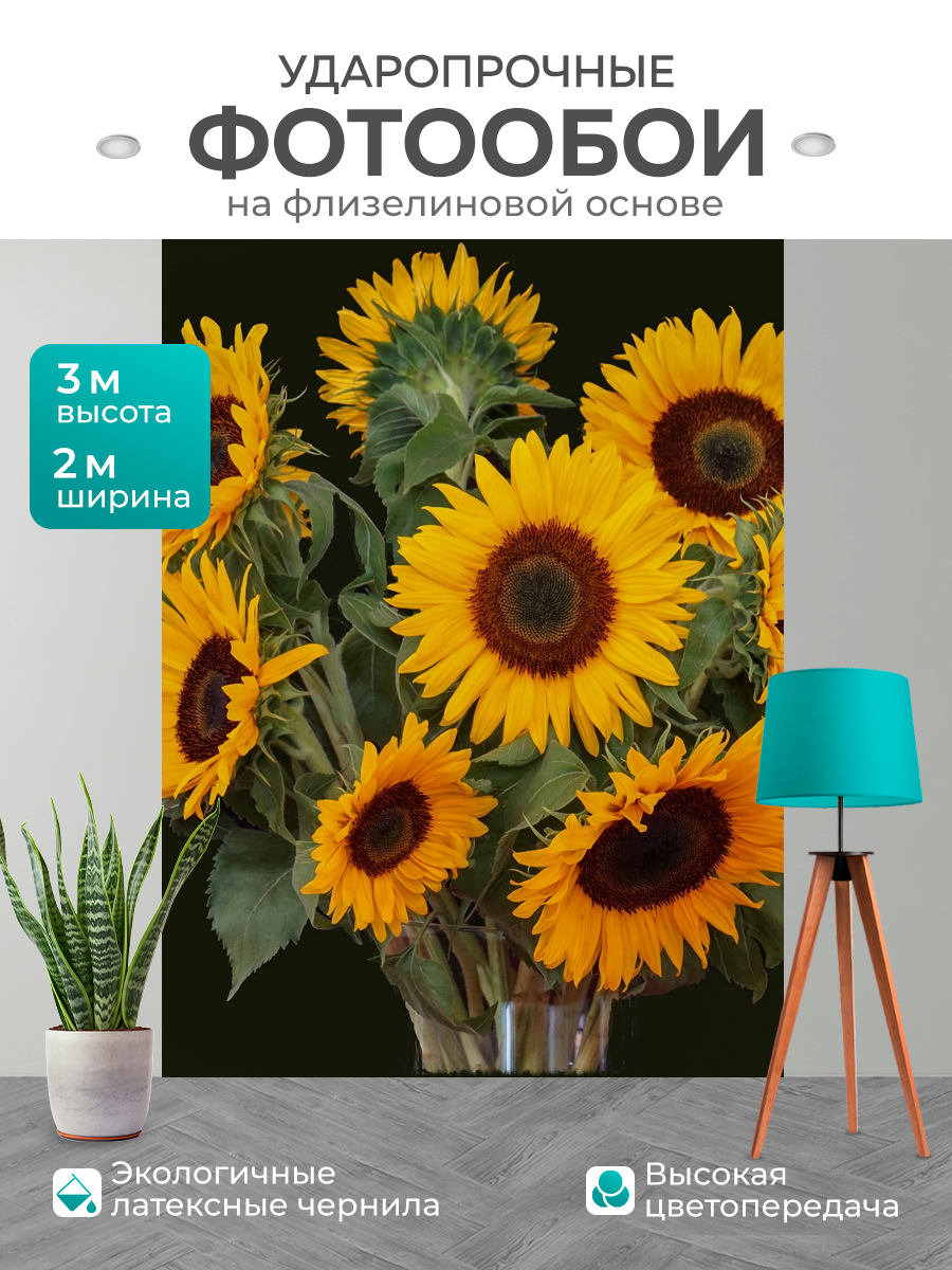 Фотообои моющиеся ударопрочные "Подсолнухи, букет цветов, флора" 200x300 см. флизелиновые на стену