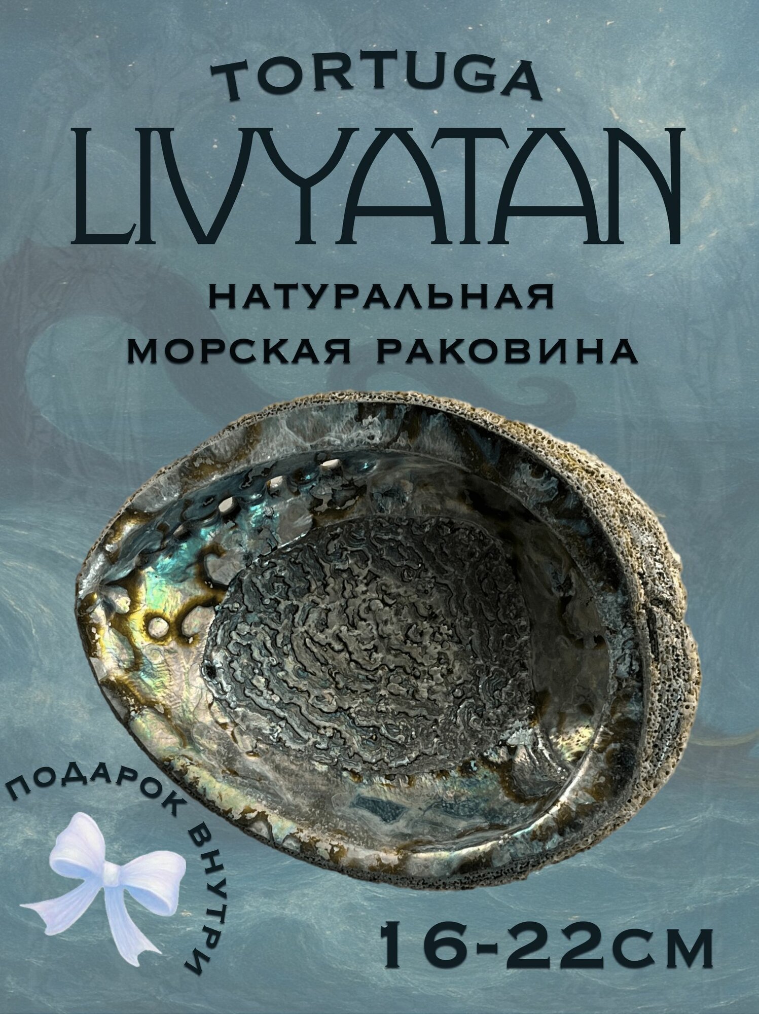 Подставка ракушка для благовоний "Livyatan" TORTUGA, раковина абалон "морское ушко" 16см