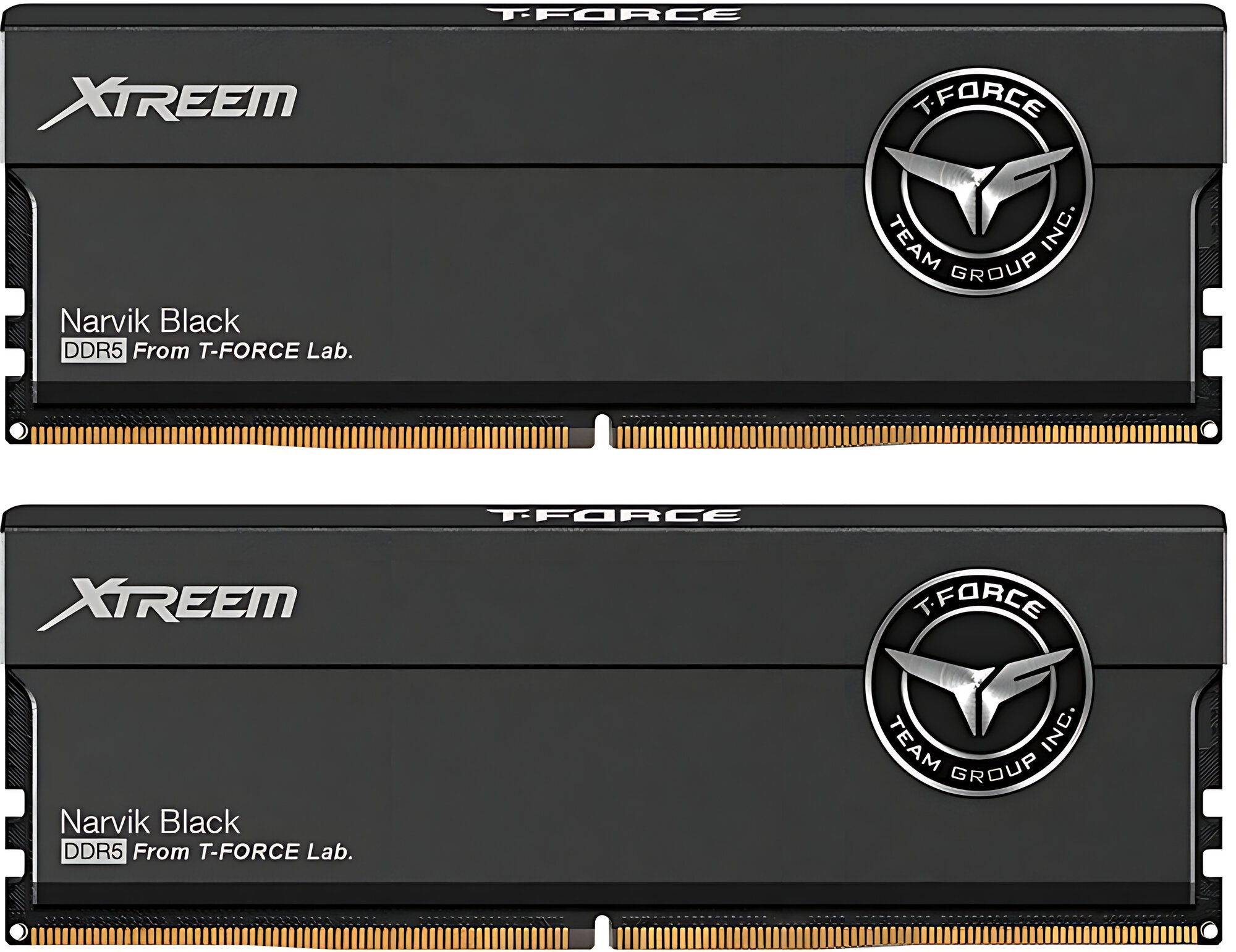 Модуль памяти DIMM DDR5 32Gb, 6000Mhz, 2x16Gb, Team Group T-FORCE Xtreem Black (FFXD532G6000HC30DC01)