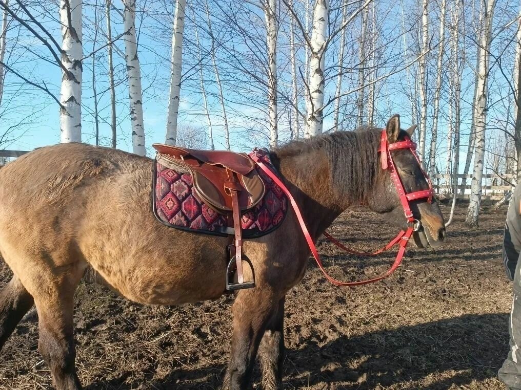 Седло для лошади — фото 1