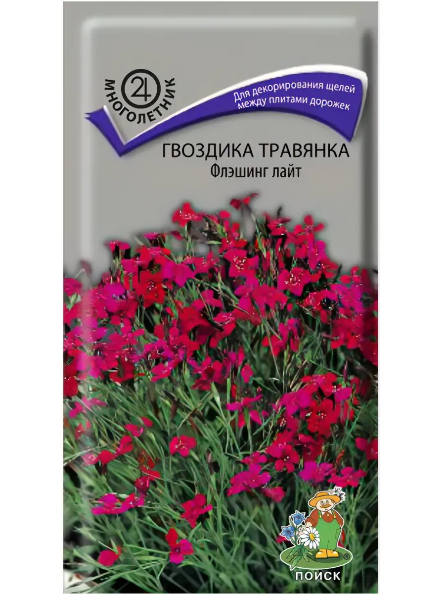 Семена цветов гвоздика травянка Флэшинг Лайт