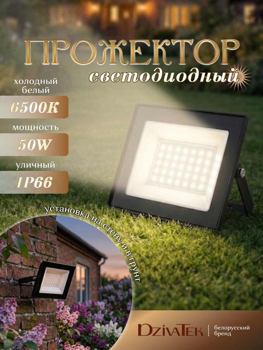 Прожектор светодиодный уличный 50W IP66 6500K / Черный DzivaTek