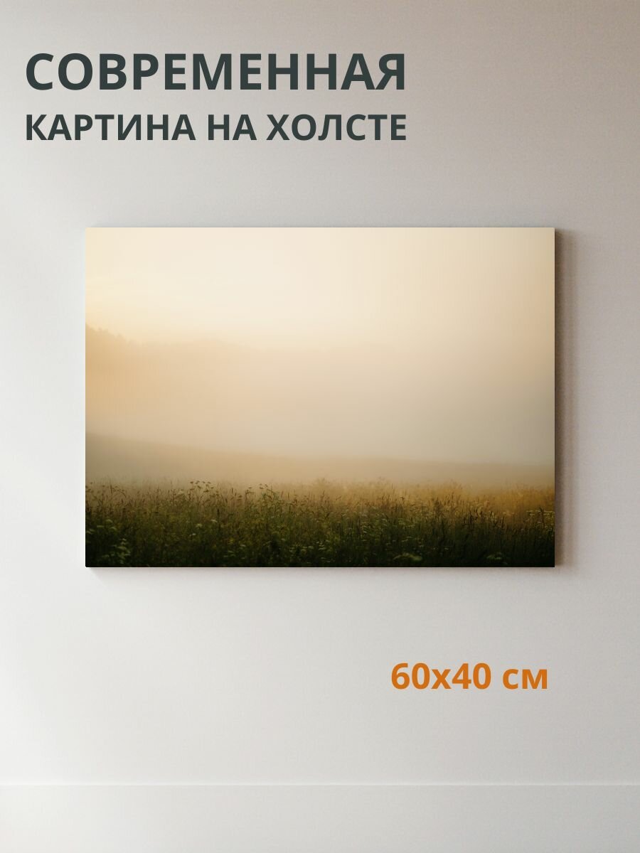 Картина на холсте Поле 60x40 см