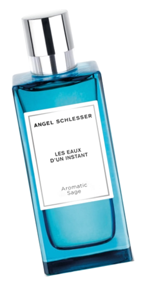 Angel Schlesser Aromatic Sage 100 мл eau de toilette для мужчин / Ароматный Шалфей