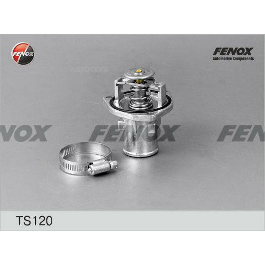 Термостат (+92°C) в корпусе FENOX TS120
