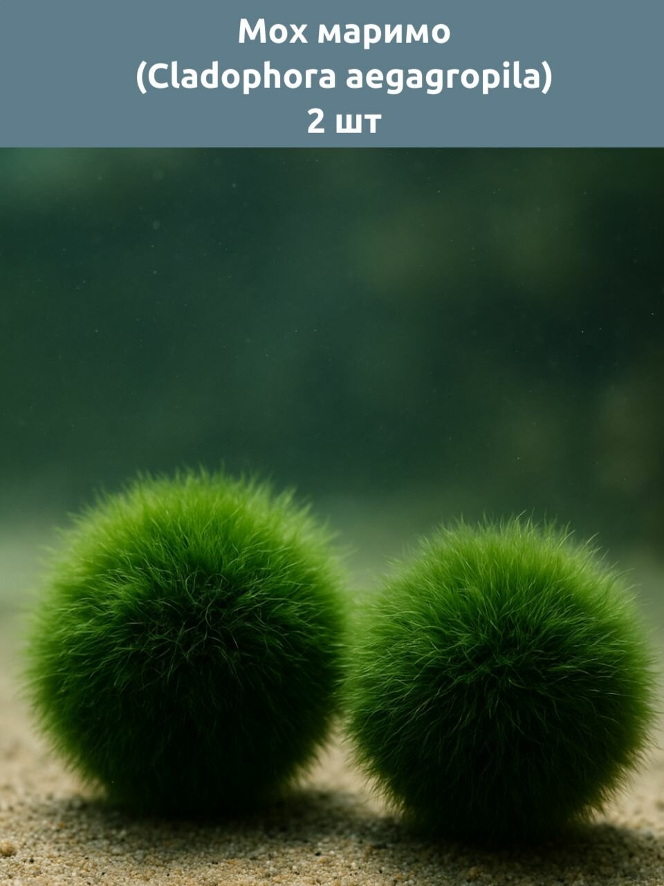 Декорация для аквариума