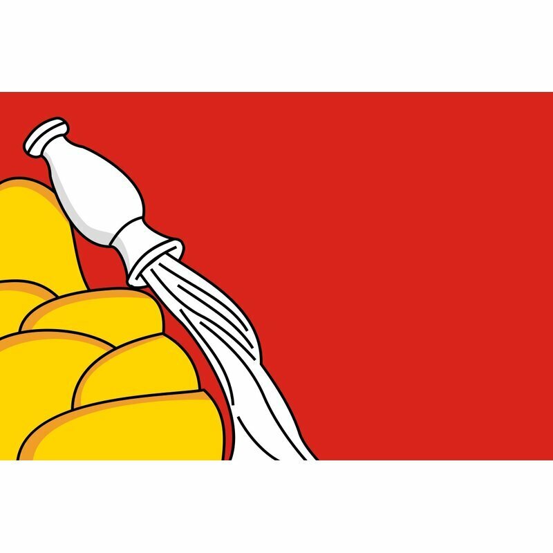 Флаг Воронежской области 135x90 см.