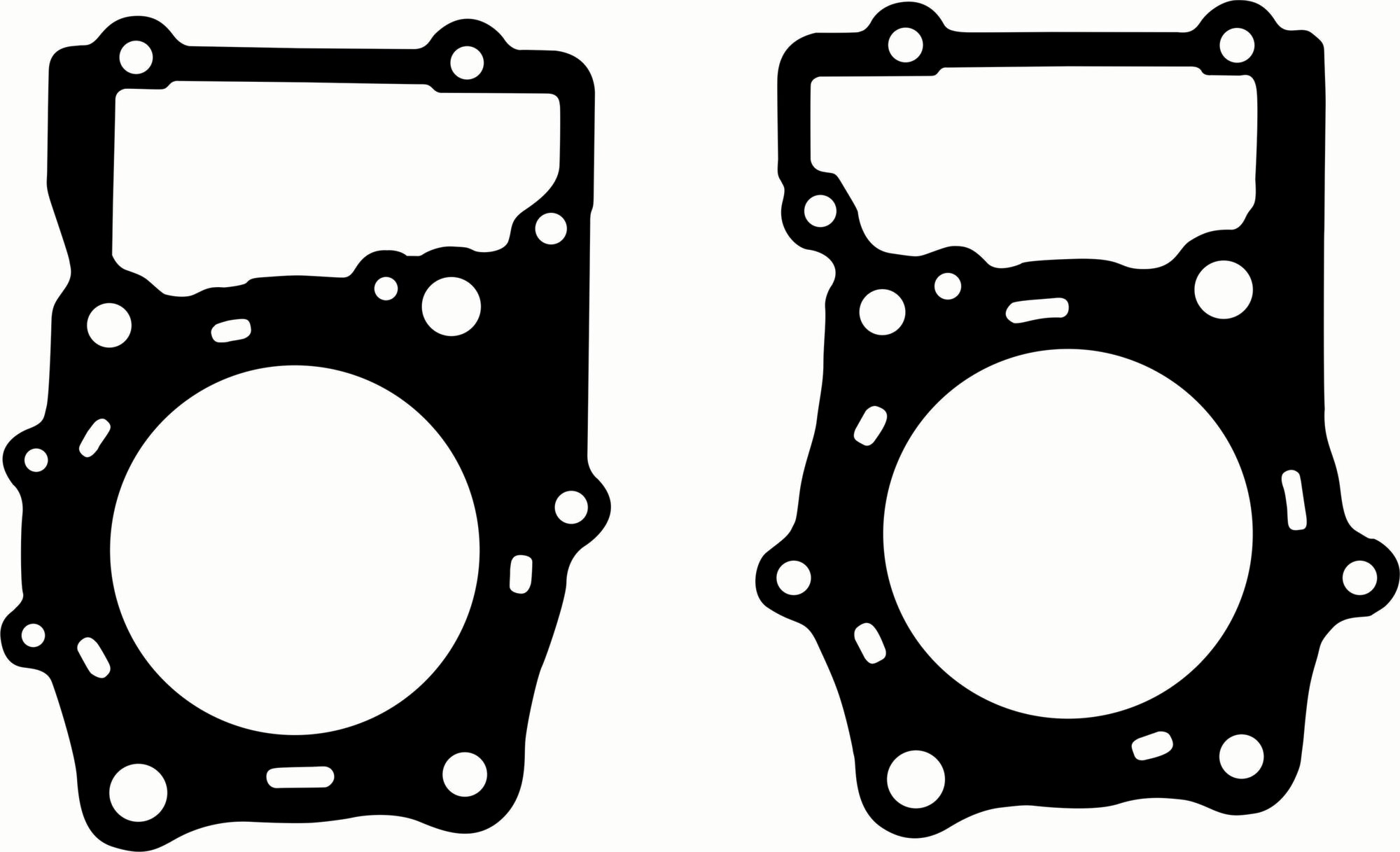 Прокладки ГБЦ для мотоцикла Suzuki VS600, VS750 VS800, VX800, VZ800 ( 11141-38A01-000 / 11142-45C00-000 ) (артикул SVF-12004)
