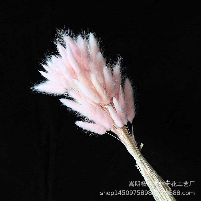 Пучок травы "Кроличий хвост", 60 палочек, светло-розовые