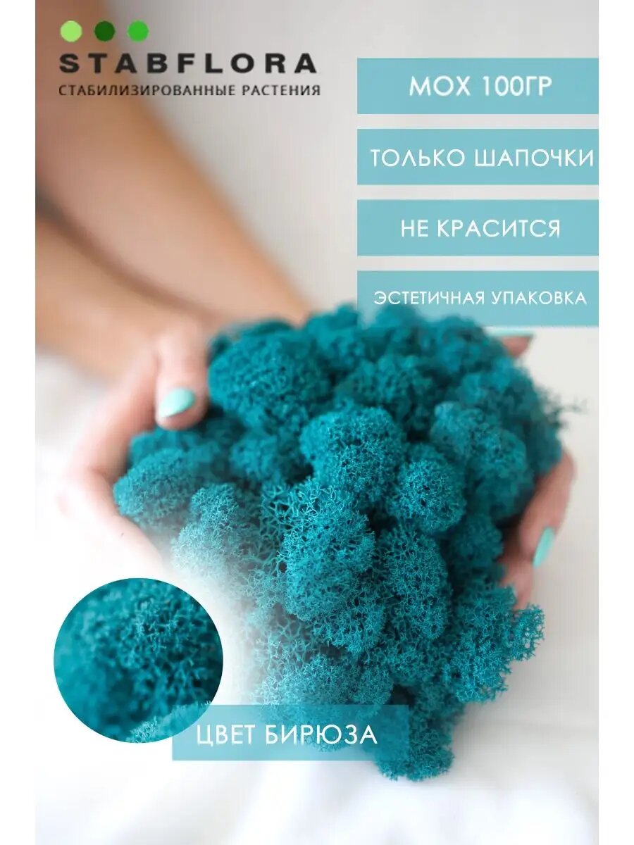 Стабилизированный мох StabFlora, ягель, голубой/синий, 100 гр