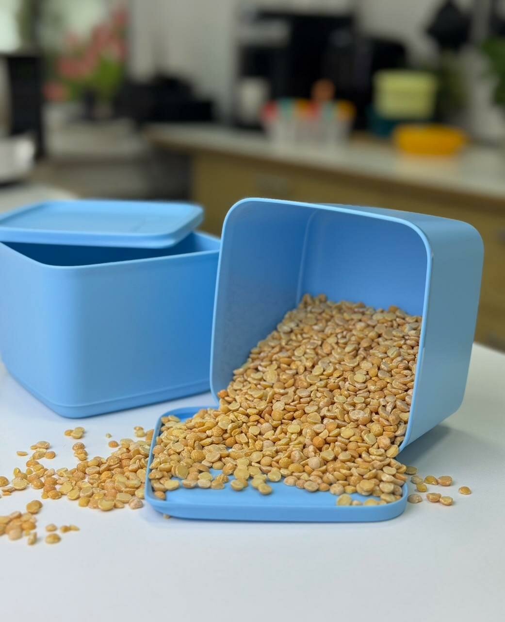 Контейнер " Кубикс " 1 л, с крышкой голубой 2 шт Tupperware