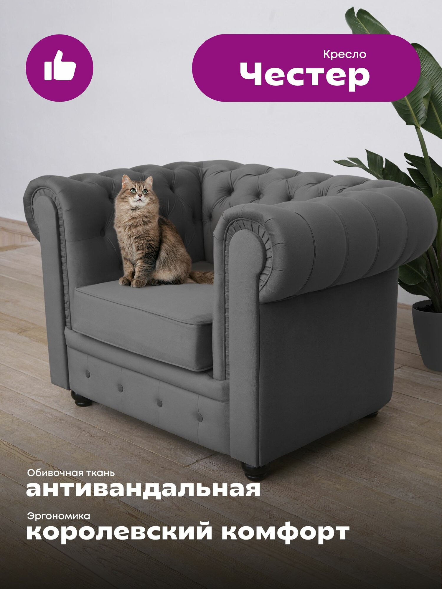 Мягкое кресло для отдыха в гостиную "Честер", антивандальная ткань темно-серый Teddy 024