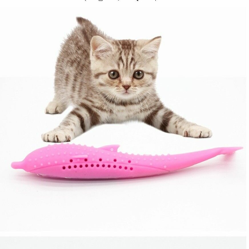 Игрушка для кошек с жевательной резинкой, для чистки зубов