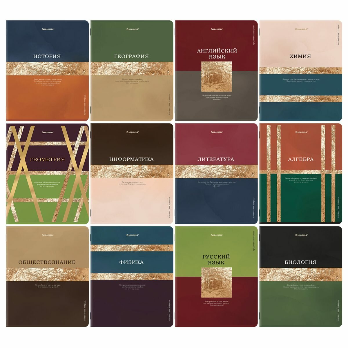 Набор предметных тетрадей Brauberg "Goldy" (А5, 48л, клетка/линейка, 12 предметов) (405178)