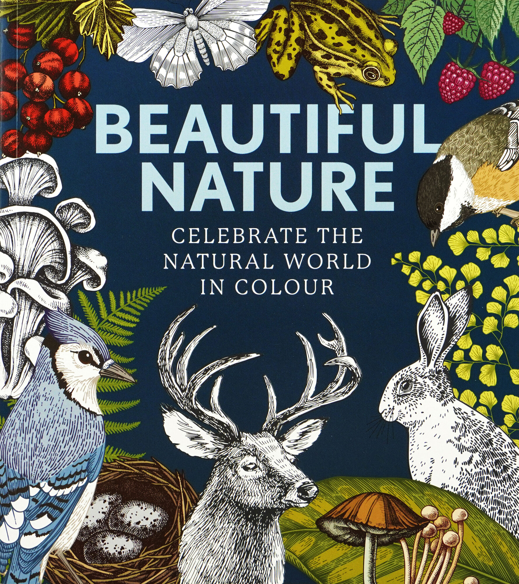 Книжка-раскраска "Прекрасная природа" (Beautiful Nature Colouring Book)