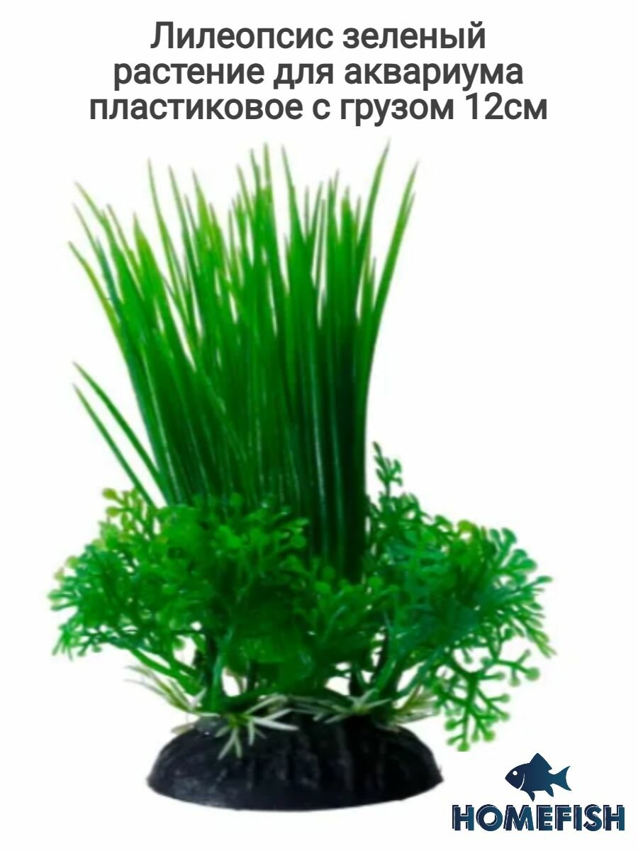 HOMEFISH 12 см Лилеопсис зеленый растение для аквариума пластиковое с грузом
