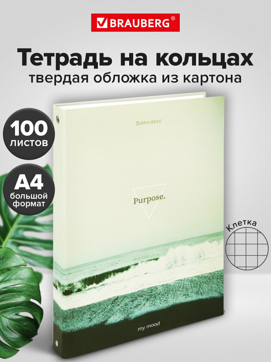 Тетрадь на кольцах А4 в клетку со сменным блоком общая 215х305 мм, 100 листов, для школы и офиса, обложка твердый картон, Brauberg, 405411