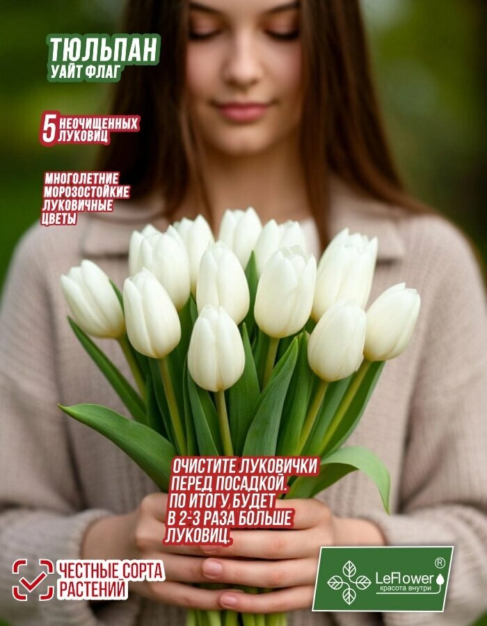 Тюльпан Луковица, Вайт Флаг, 5+шт (LeFlower)