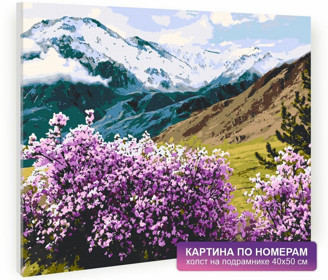 Картина по номерам на холсте с подрамником 40х50 см. Природа, горы, море, волны, пейзажи, небо, путешествия. "Горный Алтай. Чемал", арт. 7762/