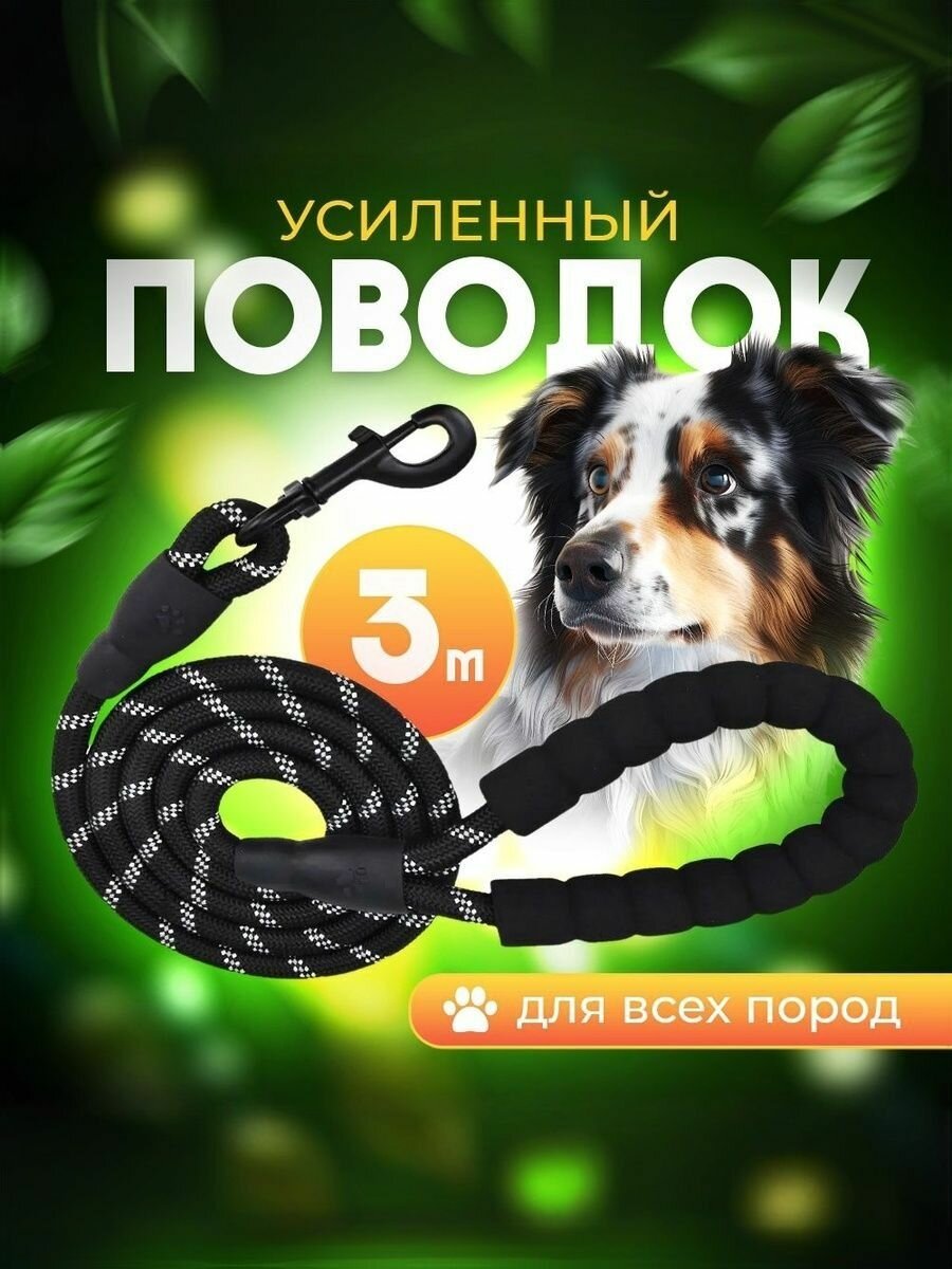 Поводок