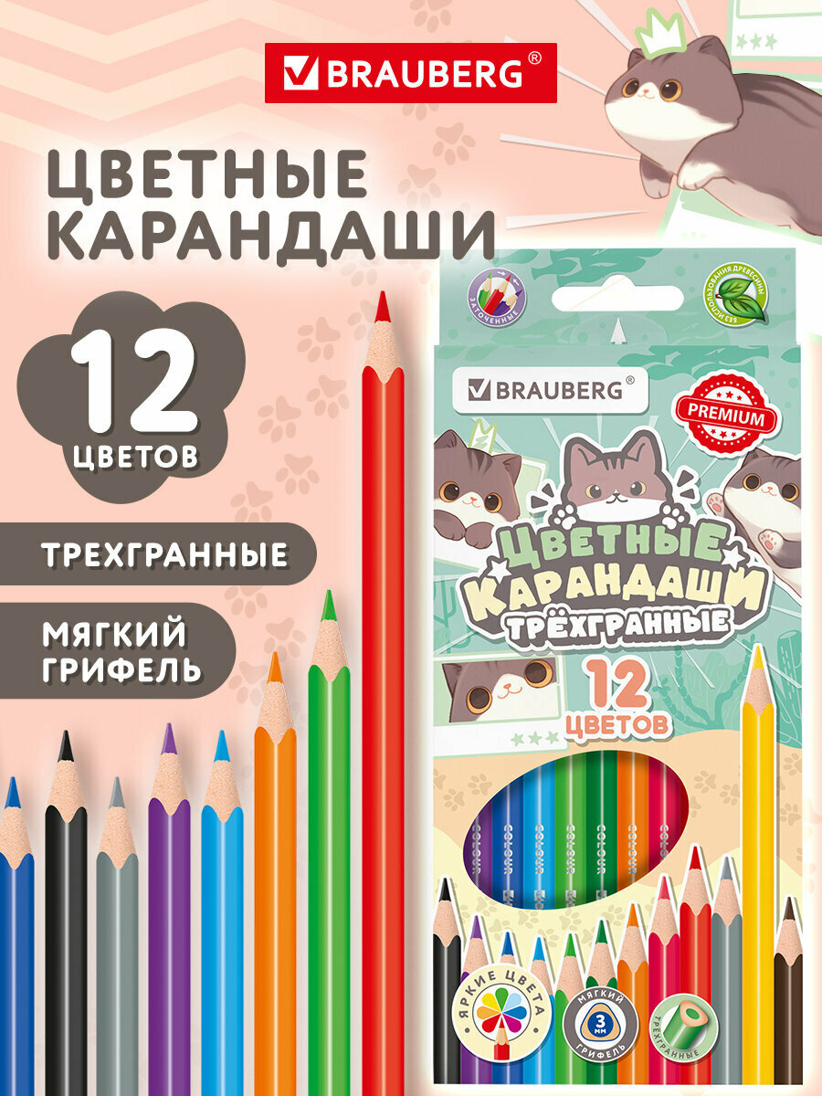 Карандаши цветные для рисования детям в школу, набор 12 цветов мягкие, трехгранные, Brauberg Cute Cats, 182109