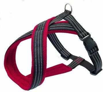 01220016-02 Шлейка нейлон Х-образная с мягкой подкладкой 20мм х 40см х 44/55см, красная