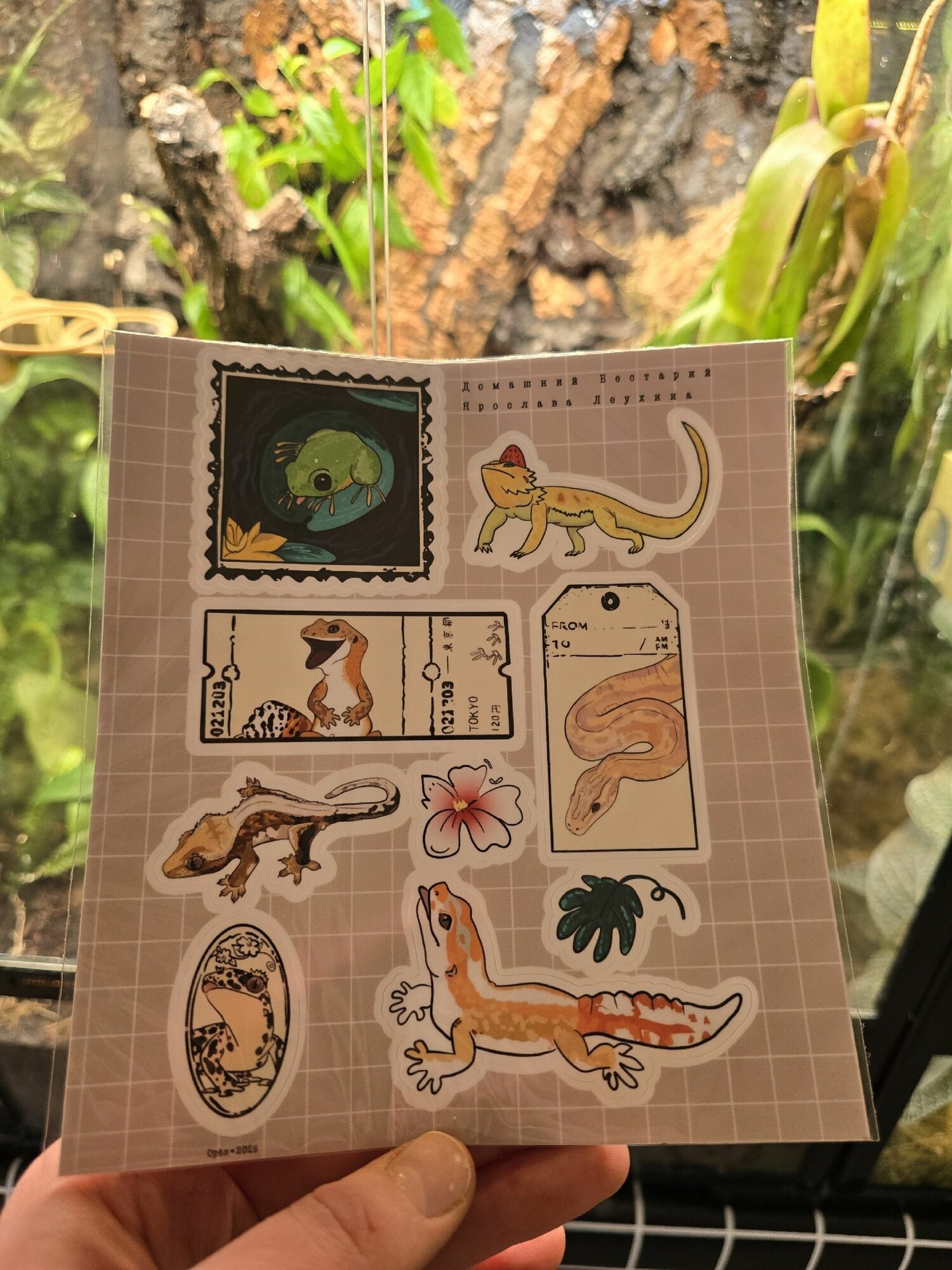 Стикеры с рептилиями