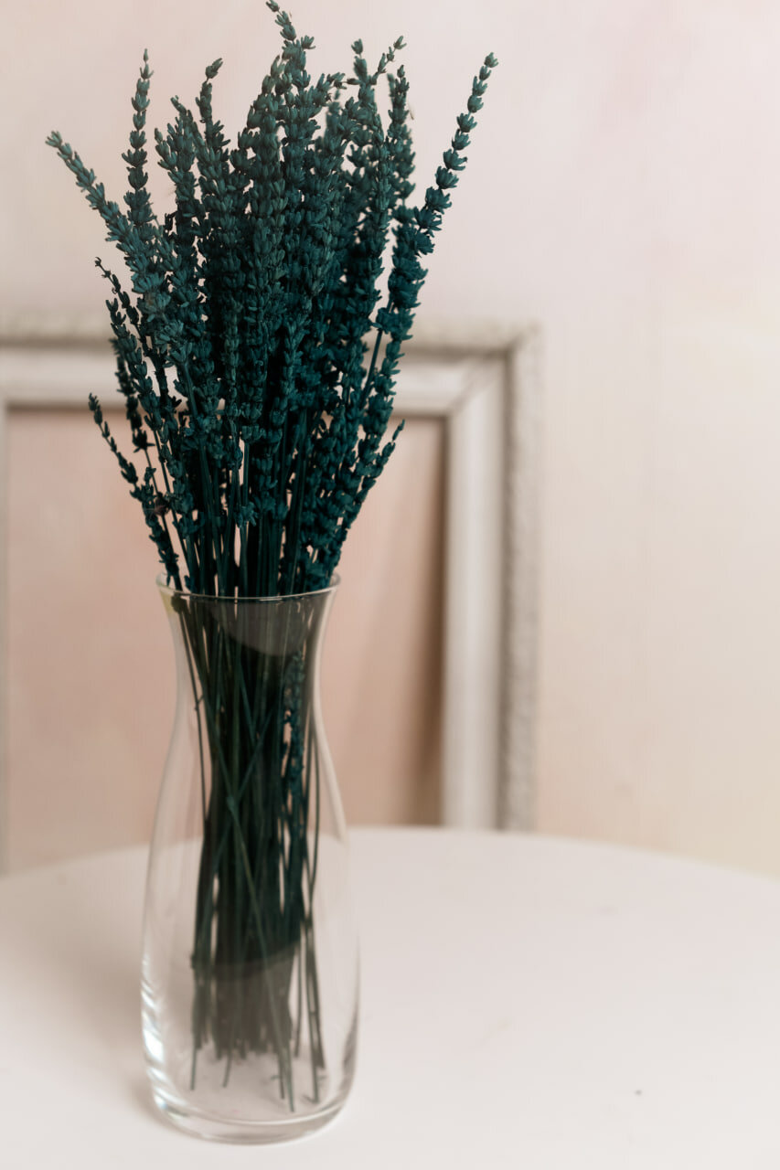 Сухоцветы "Лавандин", стабилизированные, бирюзовый цвет, 55 см