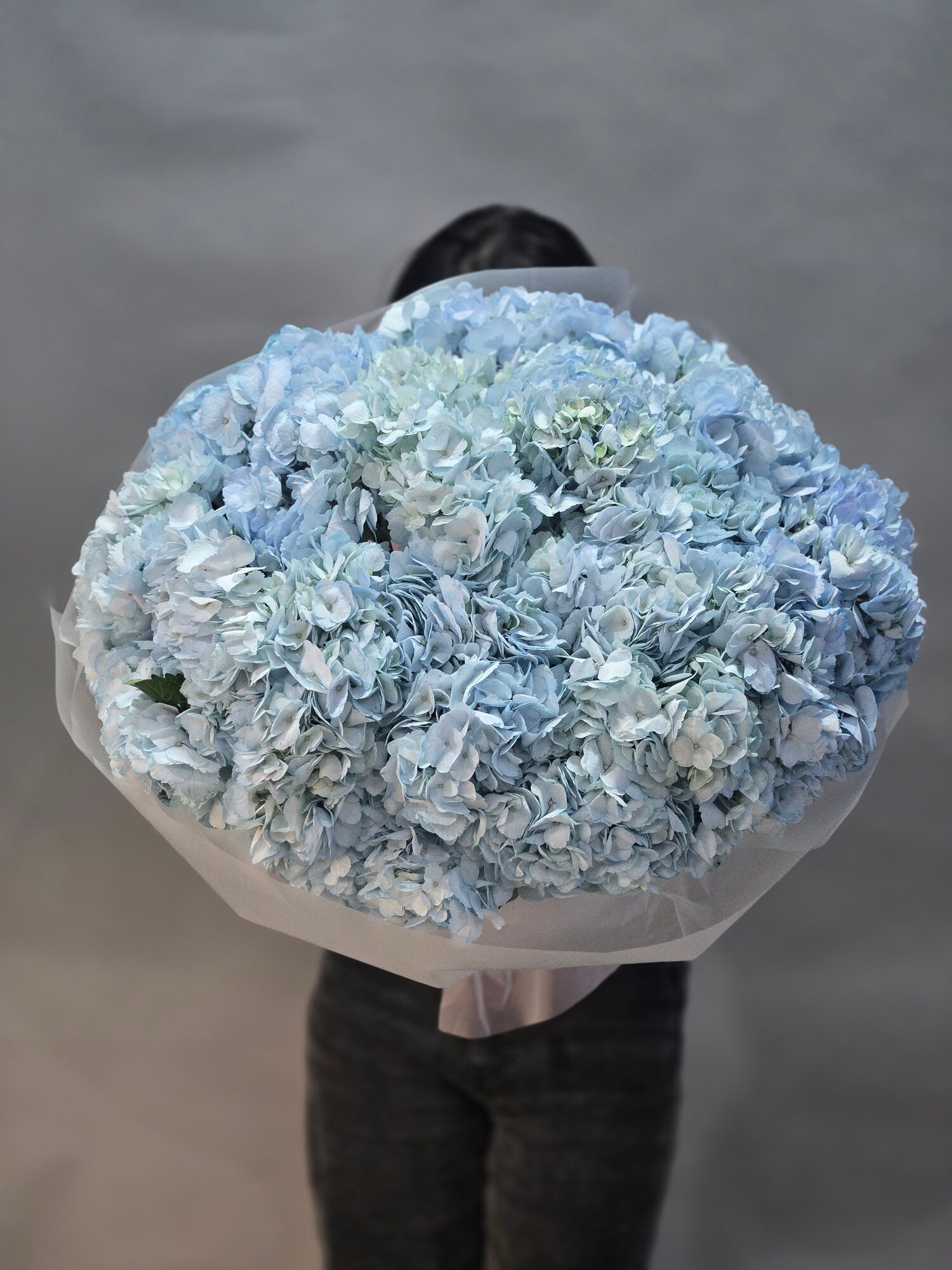 Пышный букет из 21 гортензий голубого цвета, размер XL, от "Di_Flowerslab"