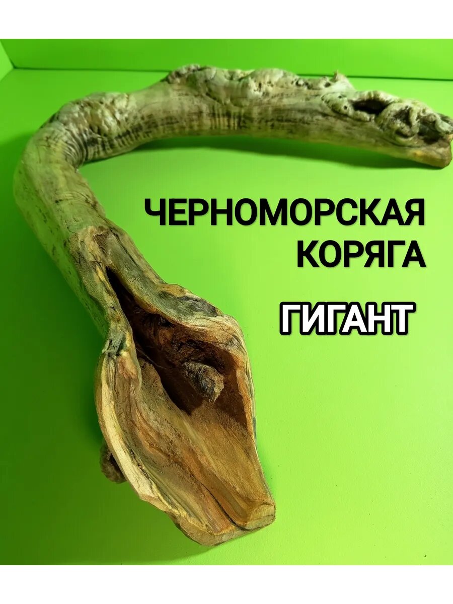 Коряга Черноморская серебро для террариума, инсектариума