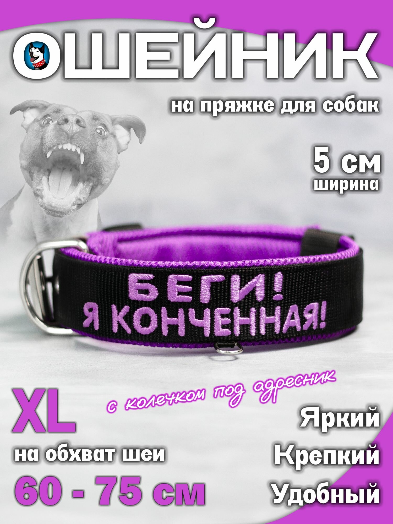 Ошейник для собак Buddy team на пряжке, с вышивкой "Беги я кон*енная", 5 см, с мягким подкладом, XL