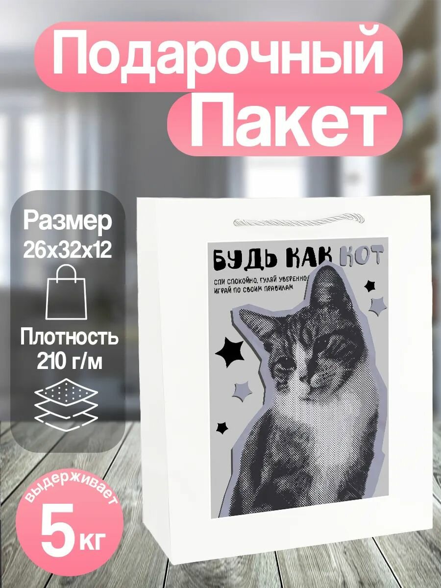 Пакет подарочный большой белый котики y2k, упаковка для подарка, 26х31 см