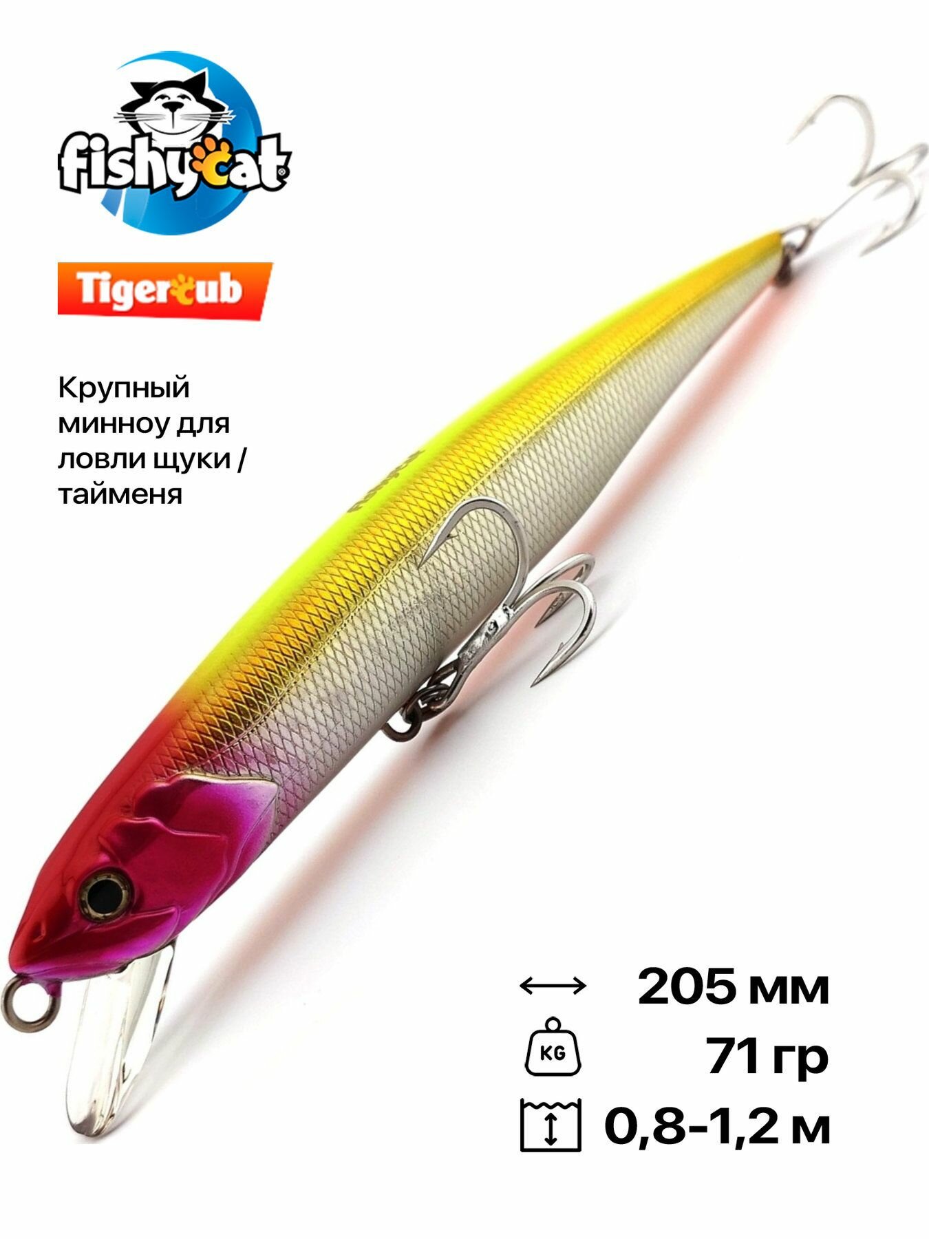 Воблер Fishycat Tigercub 205F, 205 мм, 71 гр, #R21