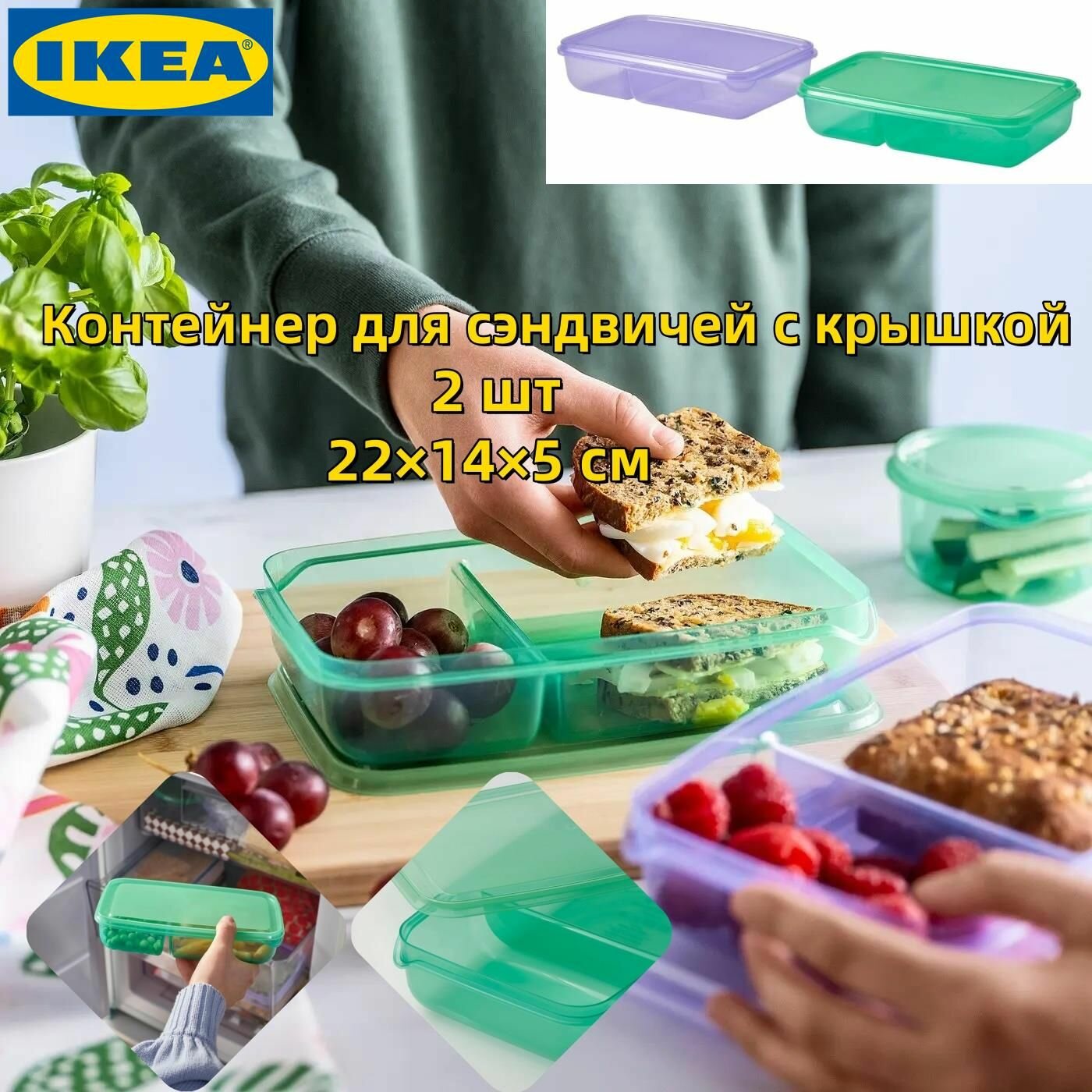 IKEA (икеа)Набор из 2 контейнеров для сэндвичей PRUTA с крышкой, светло-фиолетовый/зелёный, 22 14 5 см
