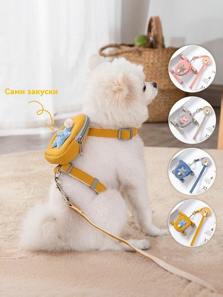 Собачий поводок, нагрудный ремень, маленькая плюшевая собачка--