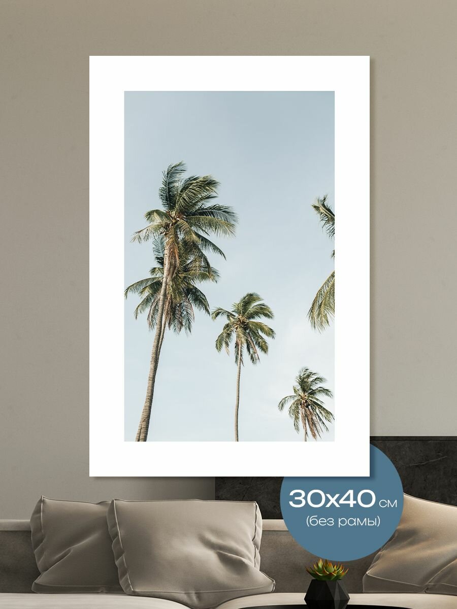 Постер на стену "Пальмы" 30х40 см, без рамы, сатиновая бумага