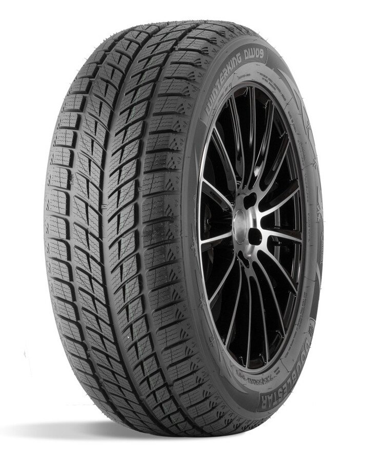 Зимние шины Doublestar DW09 255/50 R20 109H