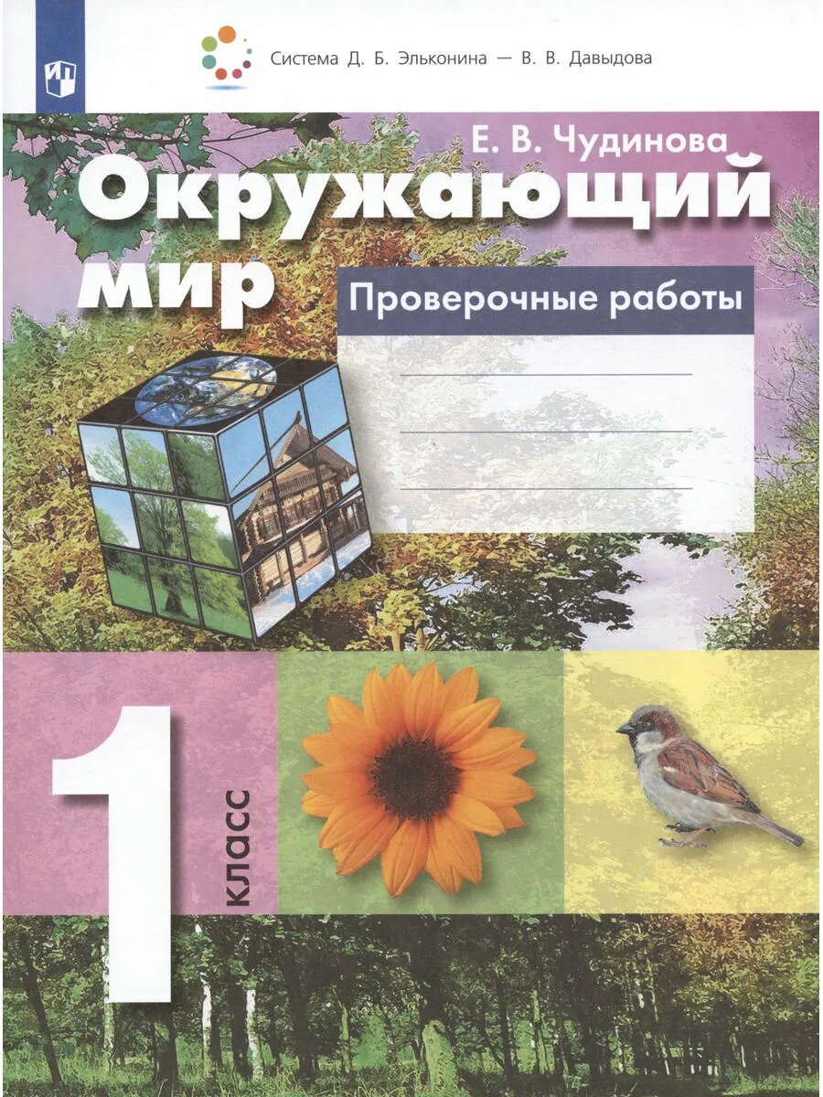 Окружающий мир. 1 класс. Проверочные работы