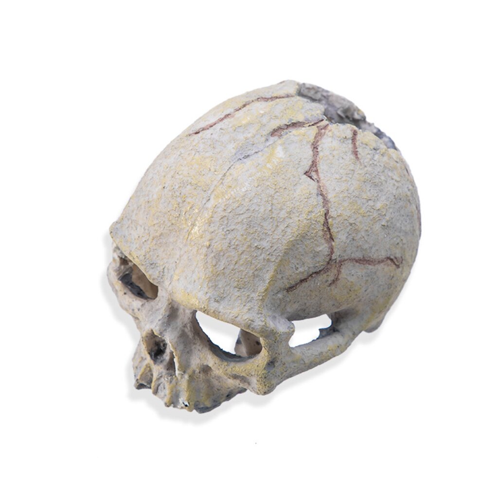 Декоративная фигурка головы черепа для рептилий, рыб, мест обитания, укрытия, пещеры, пейзажа