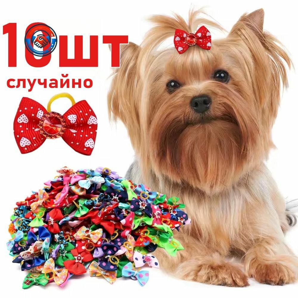 Мягкие резинки для животных, удобные аксессуары для ухода и стрижки домашних питомцев, набор эластичных резинок для собак и кошек