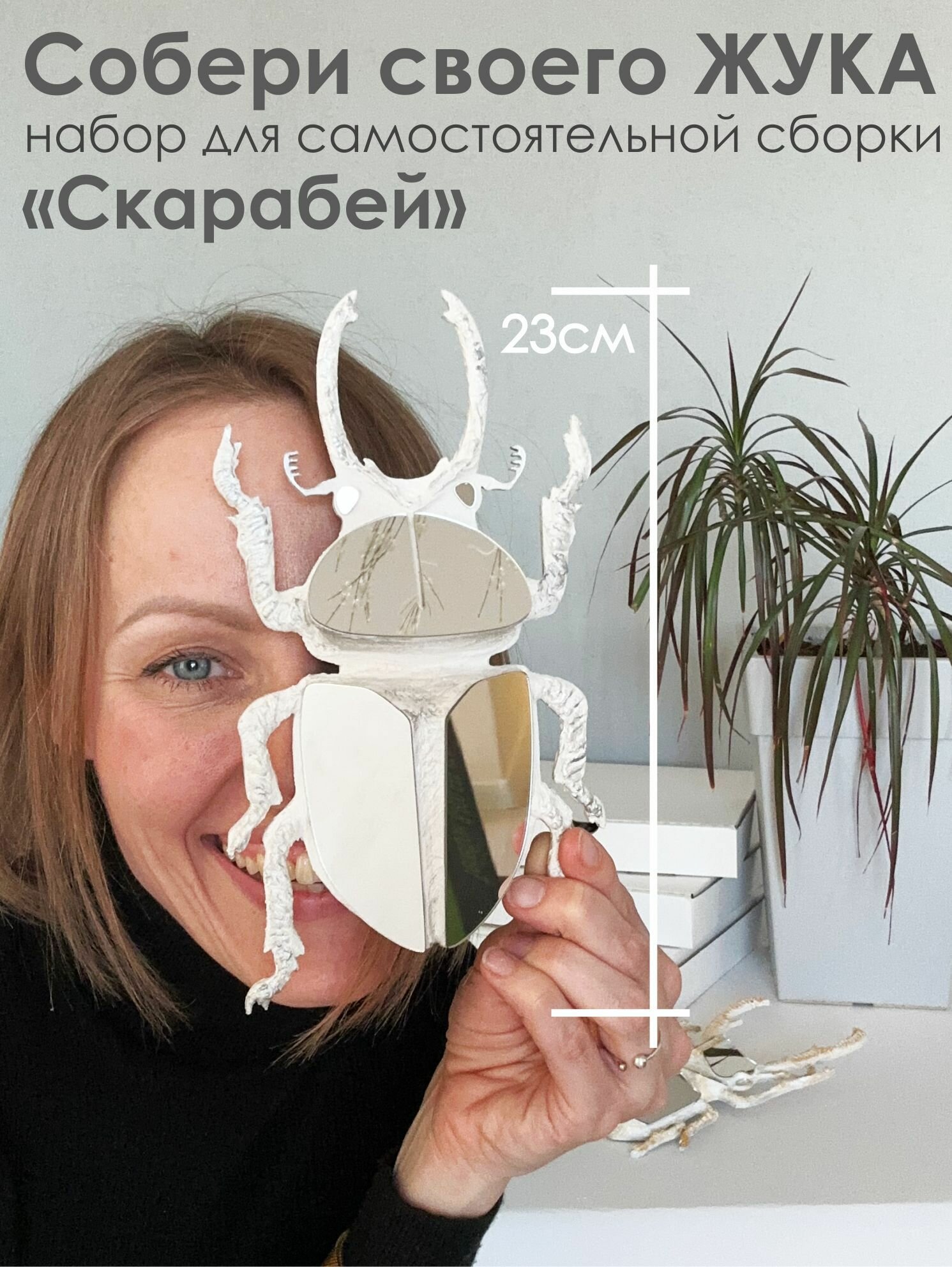 Набор для творчества "Мистер Жук" Скарабей