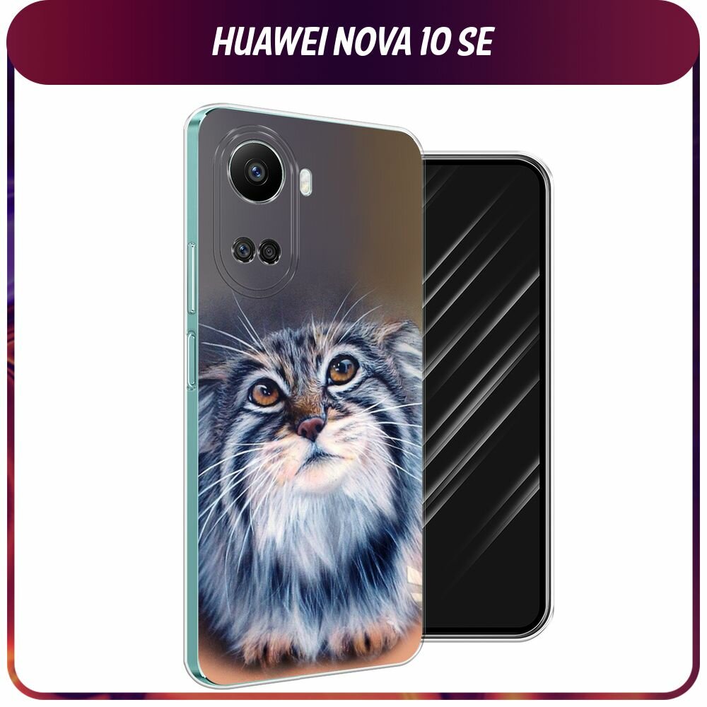 Чехол на Huawei nova 10 SE / Хуавей Нова 10 SE с принтом "Кот манул 2"