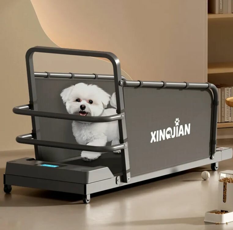 Беговая Дорожка Для Маленьких И Средних Собак Бишон Фризе Тедди Корги-1