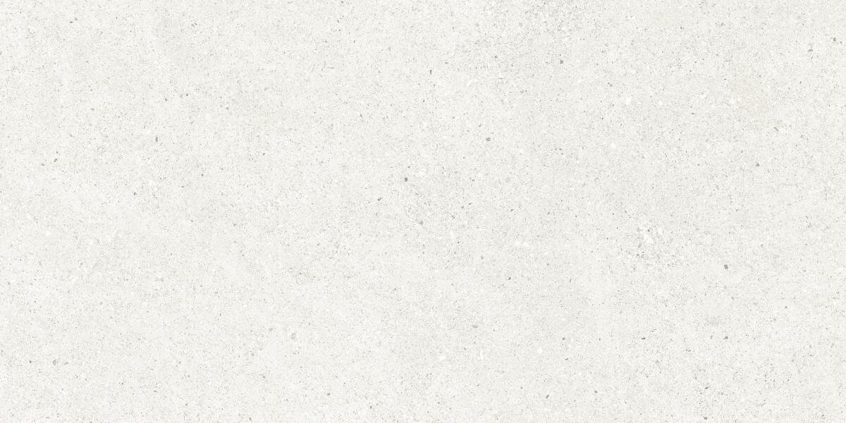 Керамогранит Ceradim Perla CR6012G0481R 59.5x119.1 Матовая Серый