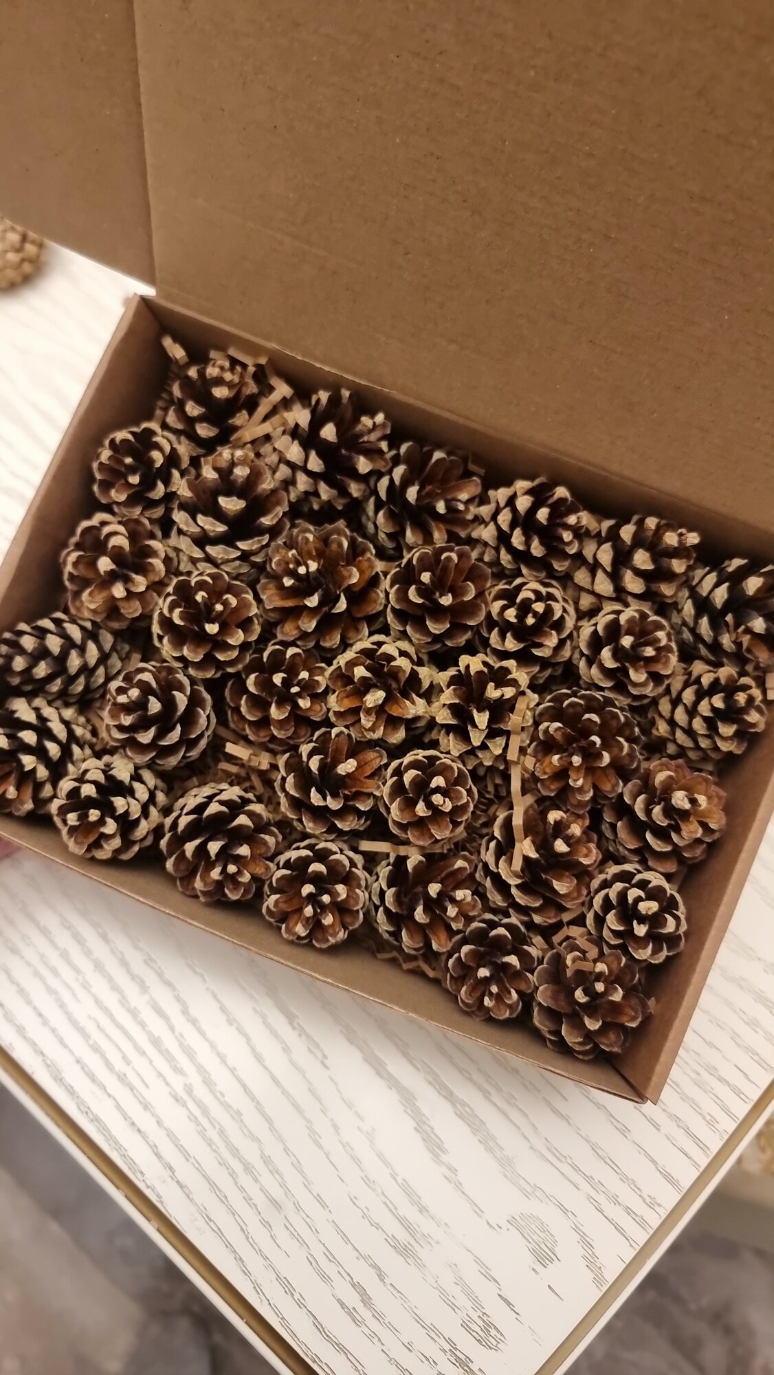 Шишки сосновые для поделок, творчества, декора корпоративных подарков. 30 шт. в наборе.